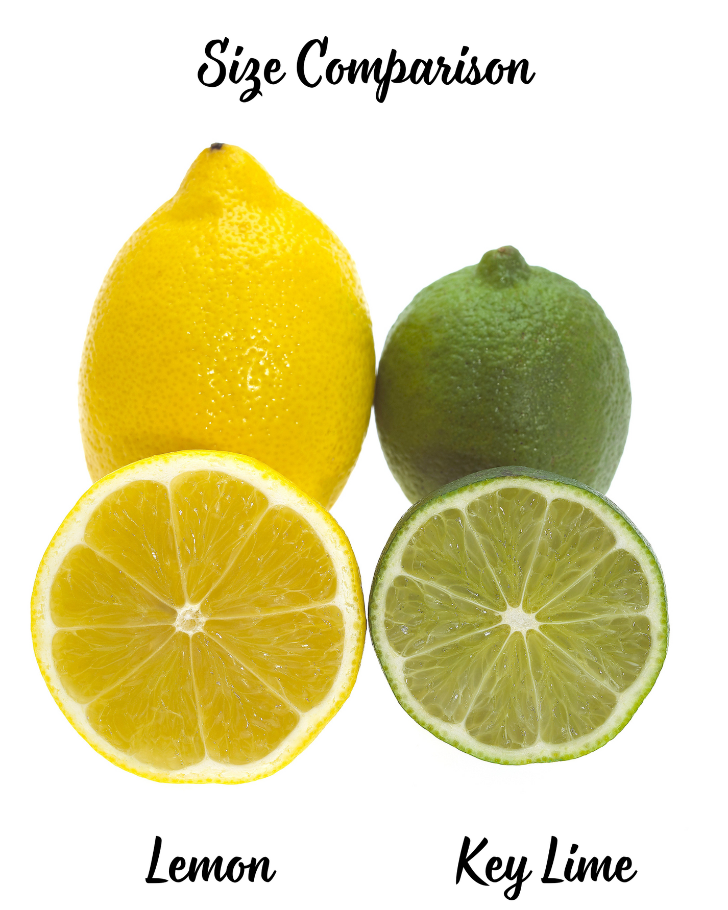 15 KEY LIME Citrus Aurantifolia Fruit Tree Shrub Seeds – Seedville USA