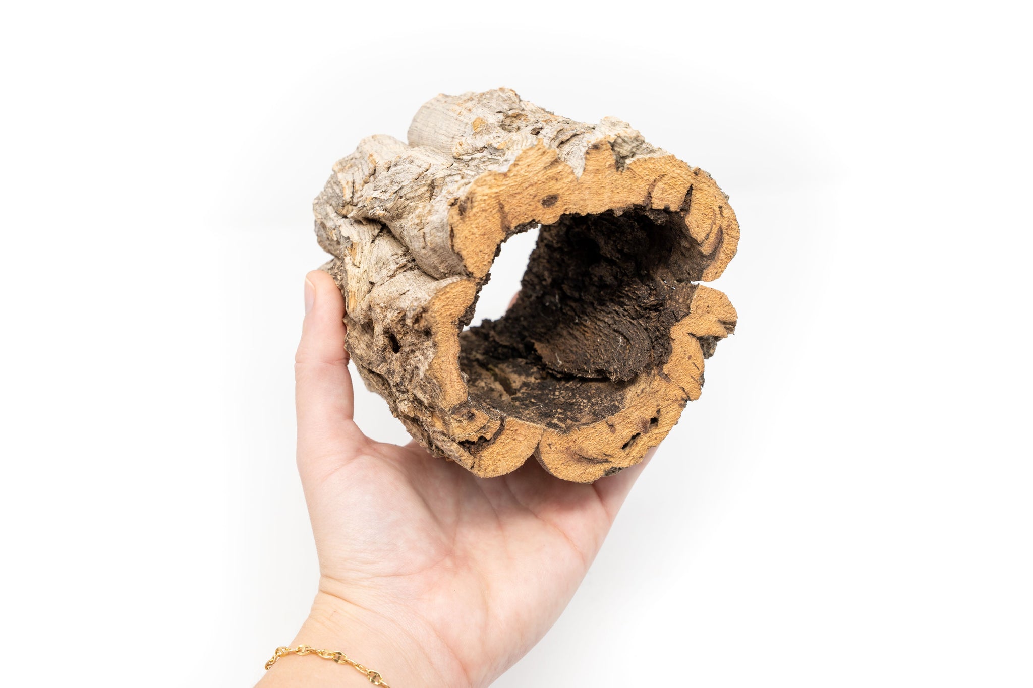 Natural Cork Bark Planters – Seedville USA