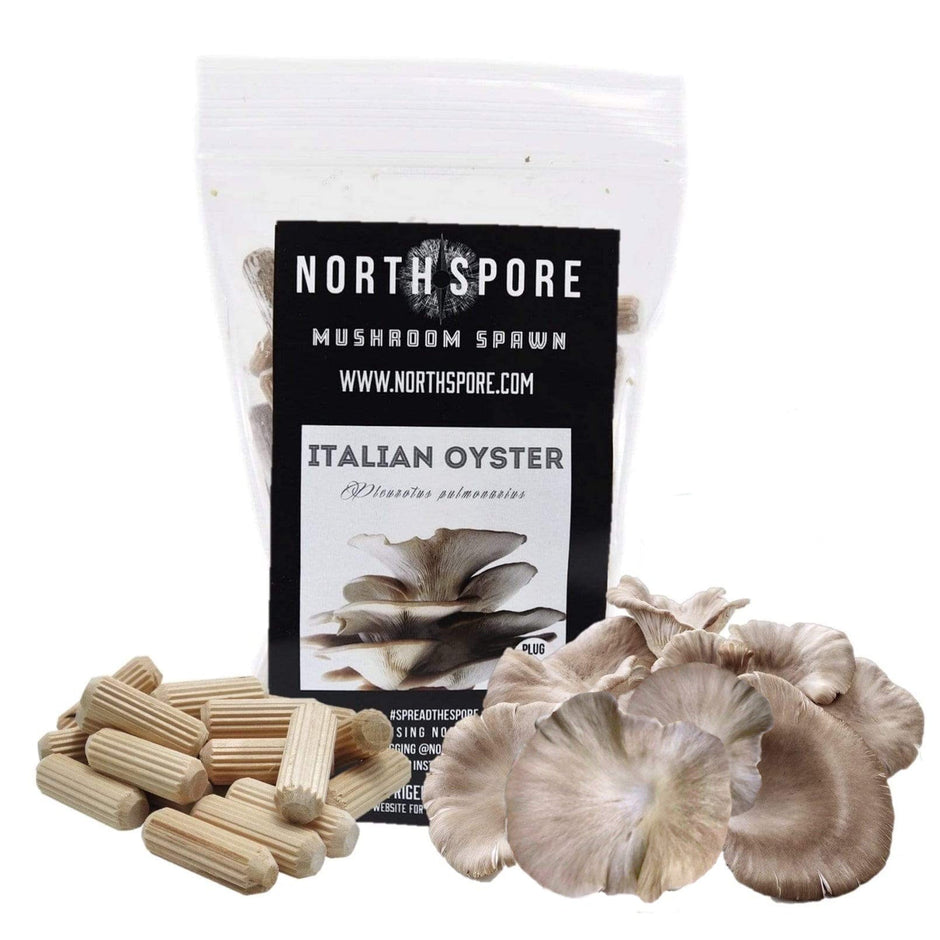Mushrooms – Seedville USA