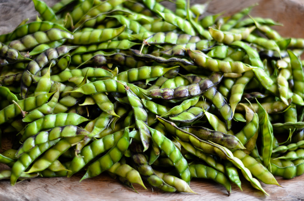 30 PIGEON PEA Dhal Gungo Puerto Rico Bean Cajanus Cajan Vegetable Seed ...