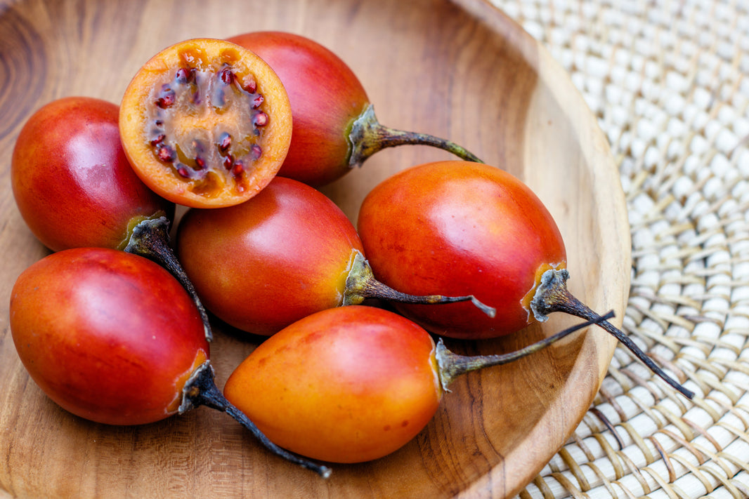 Fruit Seeds – Seedville USA