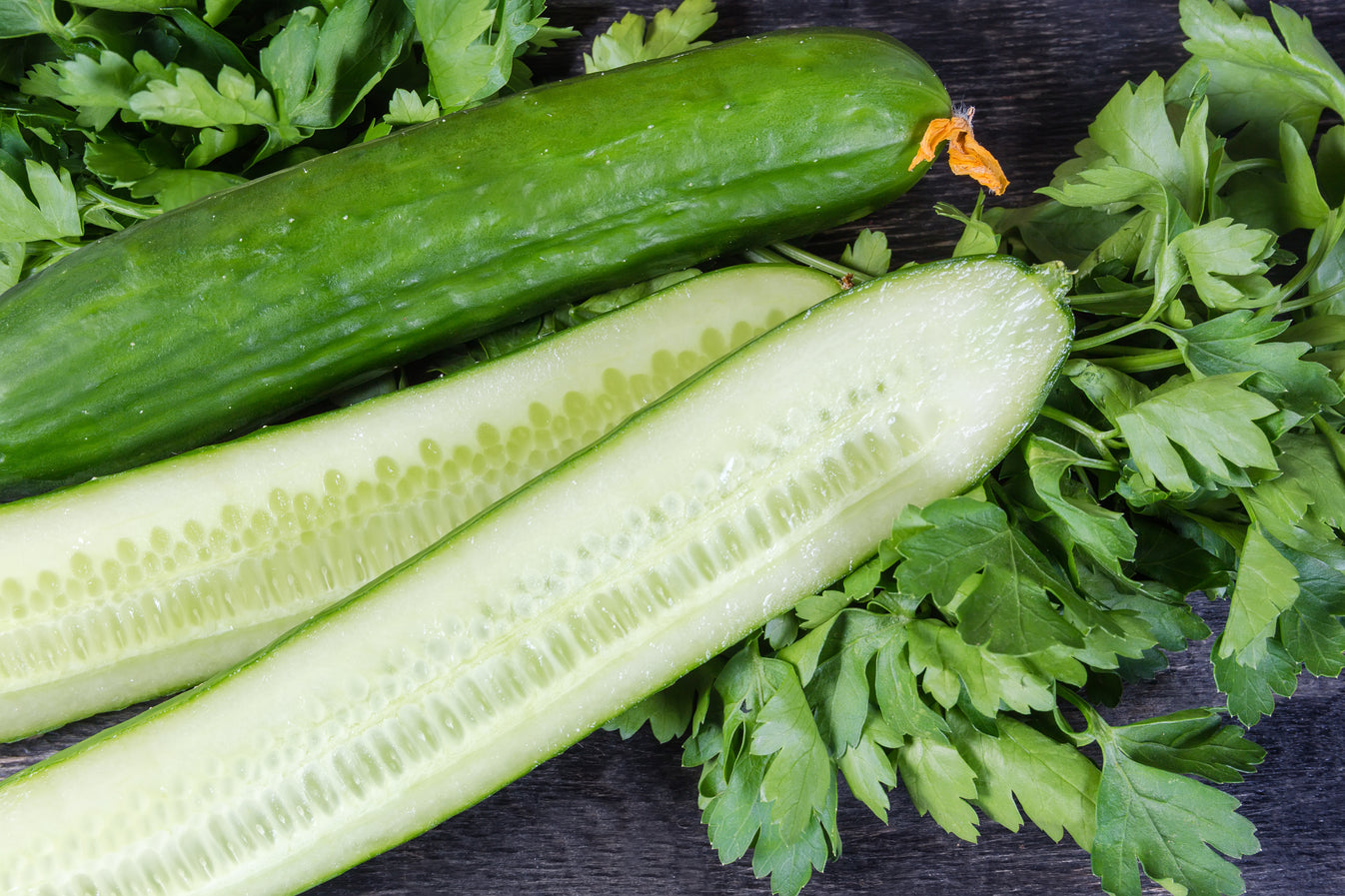 30 ENGLISH CUCUMBER Cucumis Sativus Burpless Fruit Vegetable Seeds ...