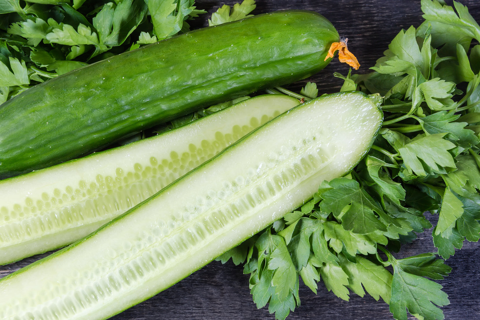 30 ENGLISH CUCUMBER Cucumis Sativus Burpless Fruit Vegetable Seeds ...