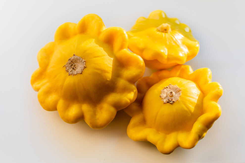 10 Golden YELLOW Bush SCALLOP SQUASH (Patty Pan / Paty Pan / Squanter ...