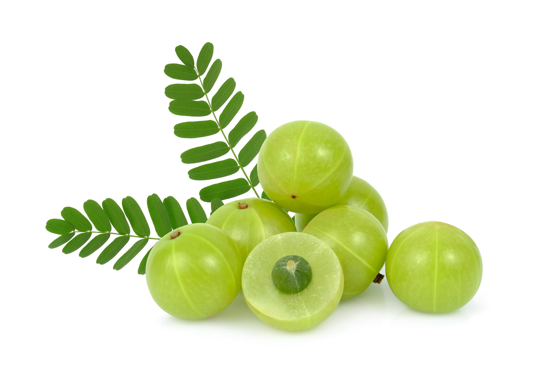 10 INDIAN GOOSEBERRY Phyllanthus Emblica Emblic Edible Fruit Tree Seed ...