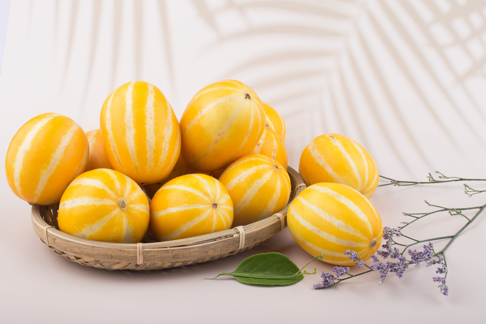 50 EARLY SILVER LINE MELON Cucumis Melo Yellow Striped Skin White Fles ...