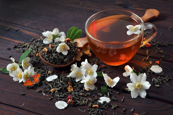 5 TEA PLANT Black & Green Drinking Tea Camellia Sinensis Evergreen Tre ...