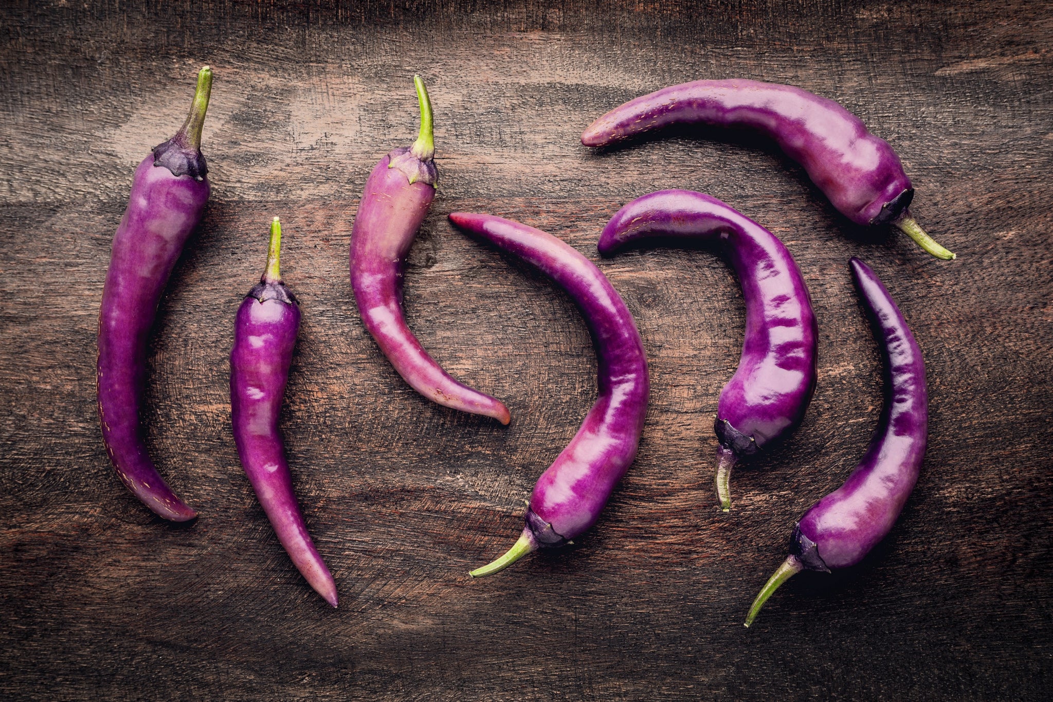 50 PURPLE CAYENNE PEPPER Hot Capsicum Annuum Vegetable Seeds ...
