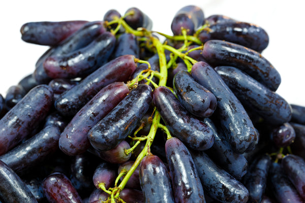 5 BLACK FINGER GRAPE Vitis Viniferia Fruit Vine Seeds – Seedville USA