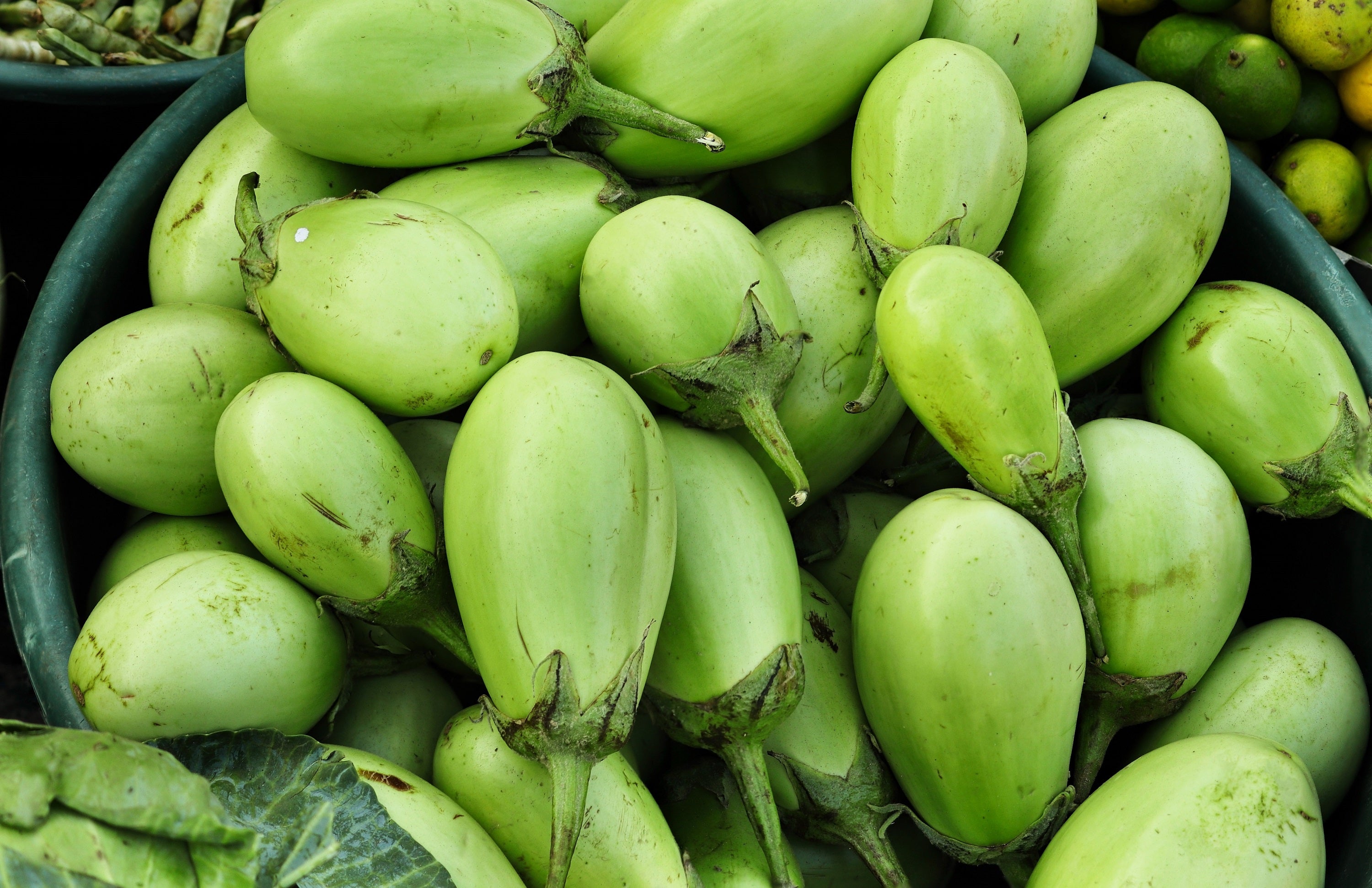 Vegetable Seeds – Seedville USA