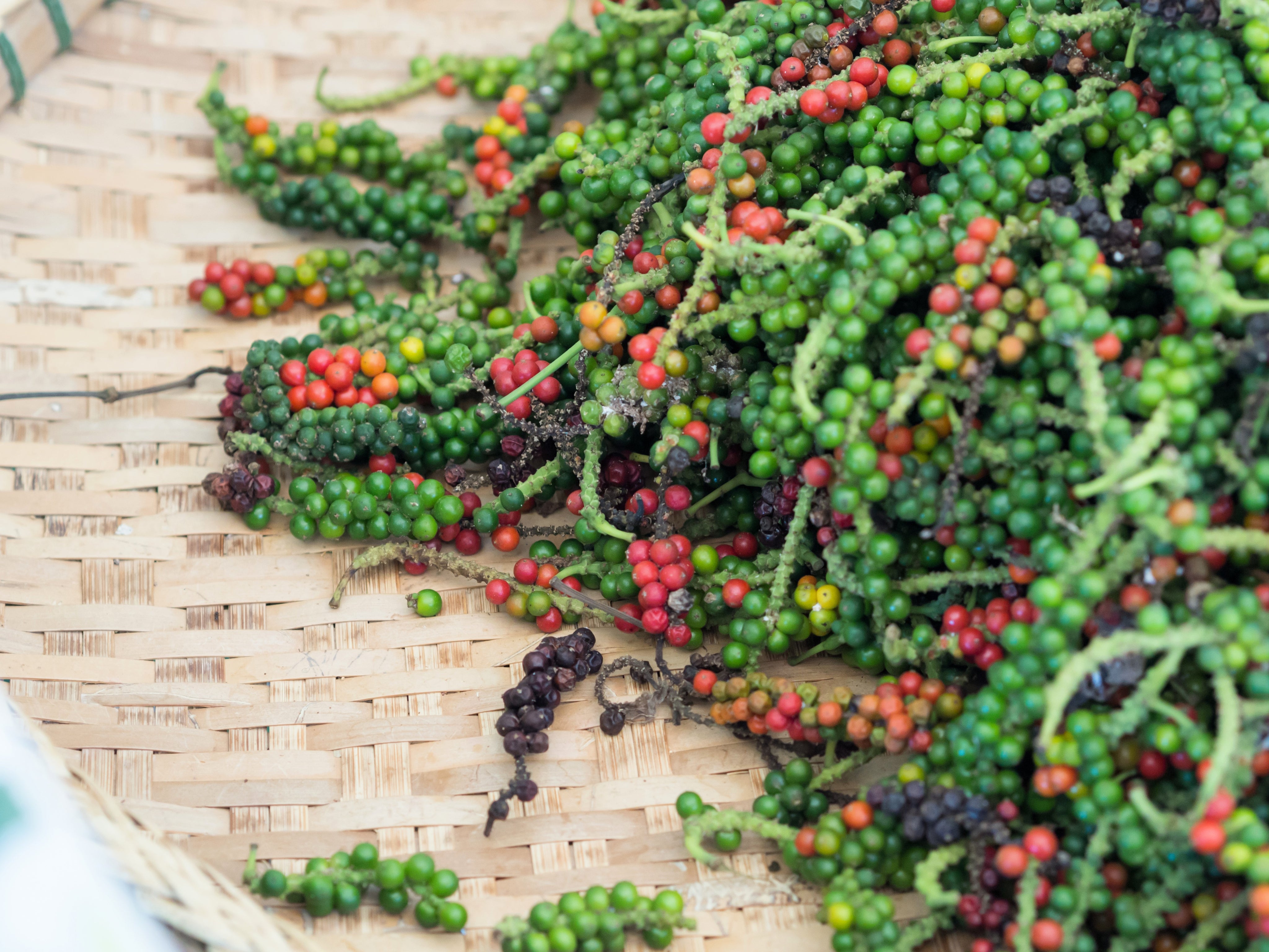 25 BLACK PEPPERCORN Black Pepper Piper Nigrum Spice Vine Seeds ...