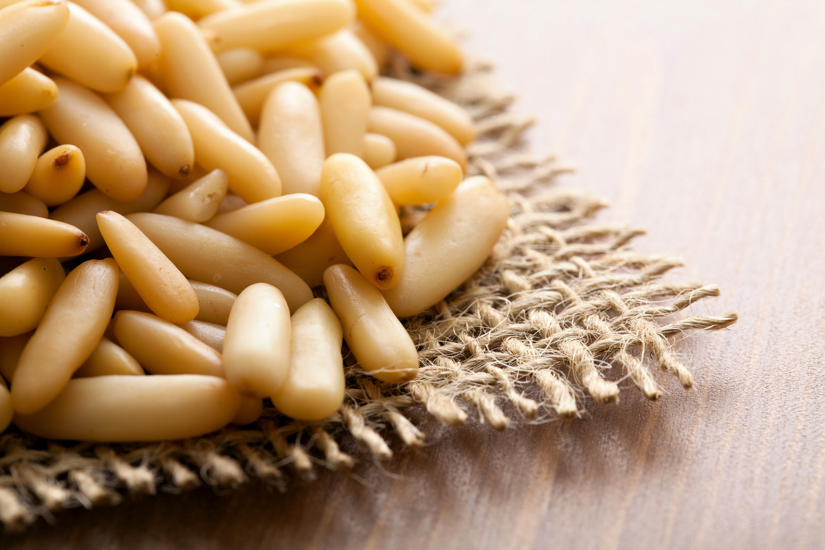 5 Pine Nut ITALIAN STONE PINE Pinus Pinea Umbrella Tree Seeds ...