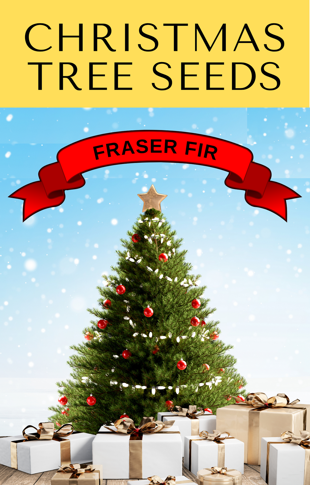 20 FRASER FIR Tree Abies Fraseri Christmas Tree Southern Balsam Fir Na ...