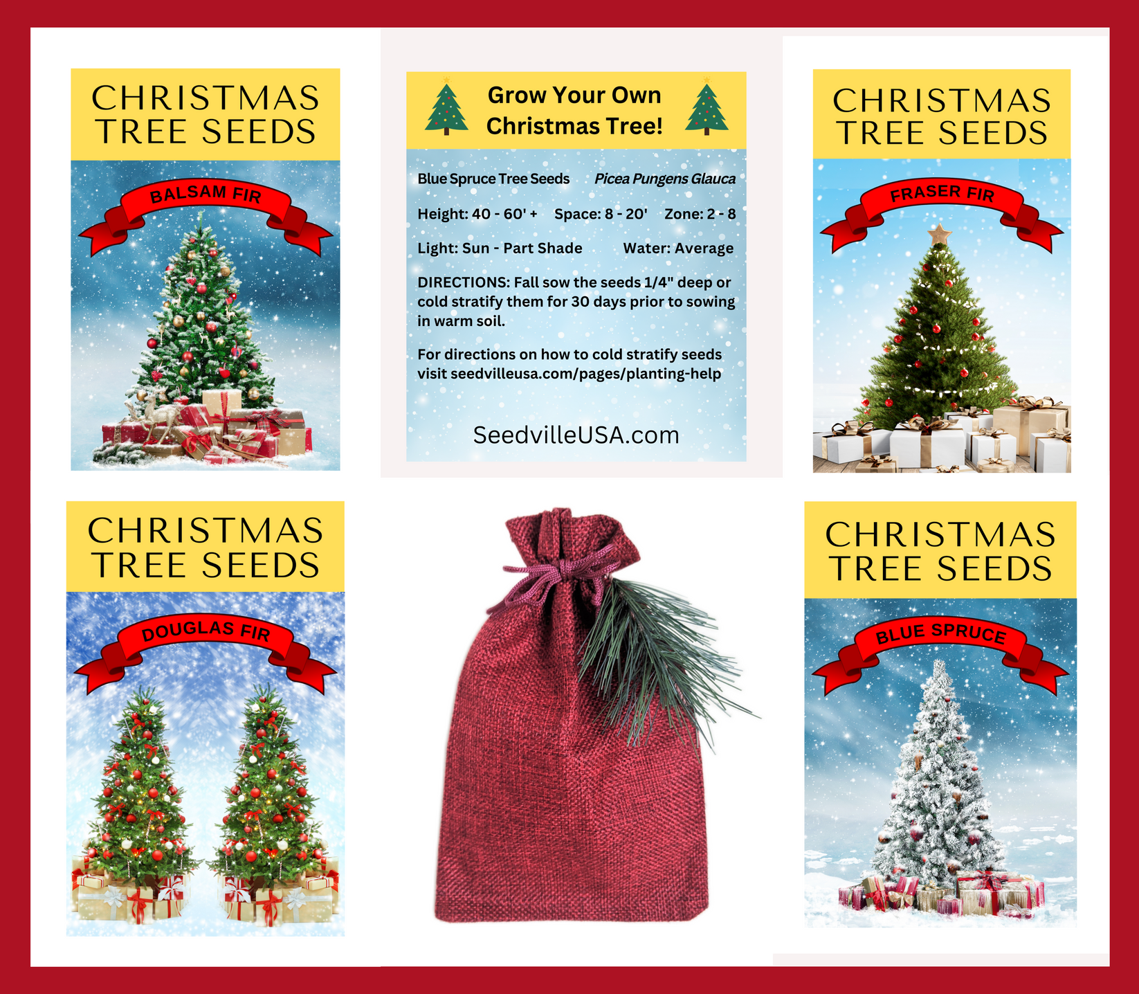 Grow Your Own CHRISTMAS TREE COLLECTION - 4 Gift Packets of Tree Seeds ...