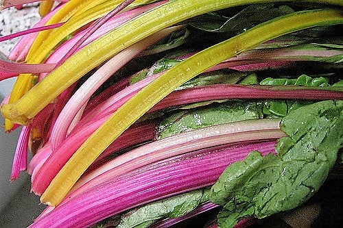 150 RAINBOW Mix SWISS CHARD Mixed Colors Beta Vulgaris Vegetable Seeds ...
