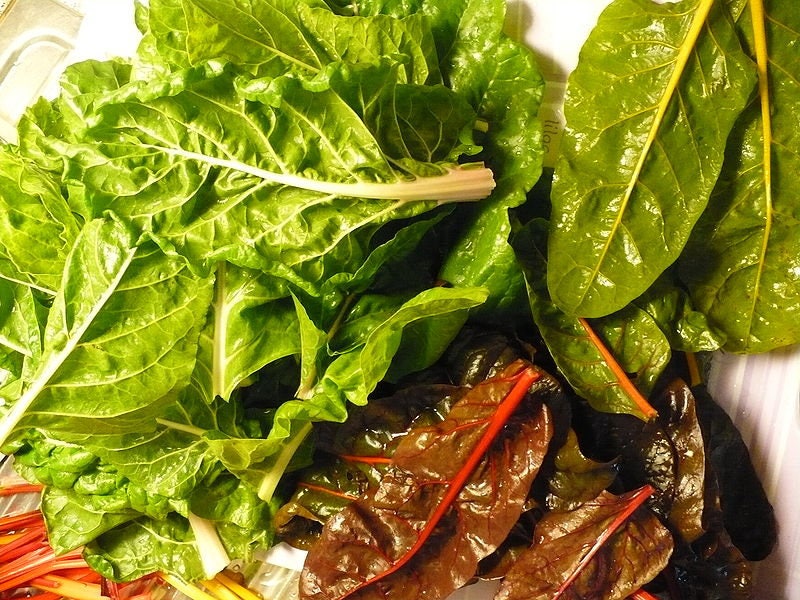 150 RAINBOW Mix SWISS CHARD Mixed Colors Beta Vulgaris Vegetable Seeds ...