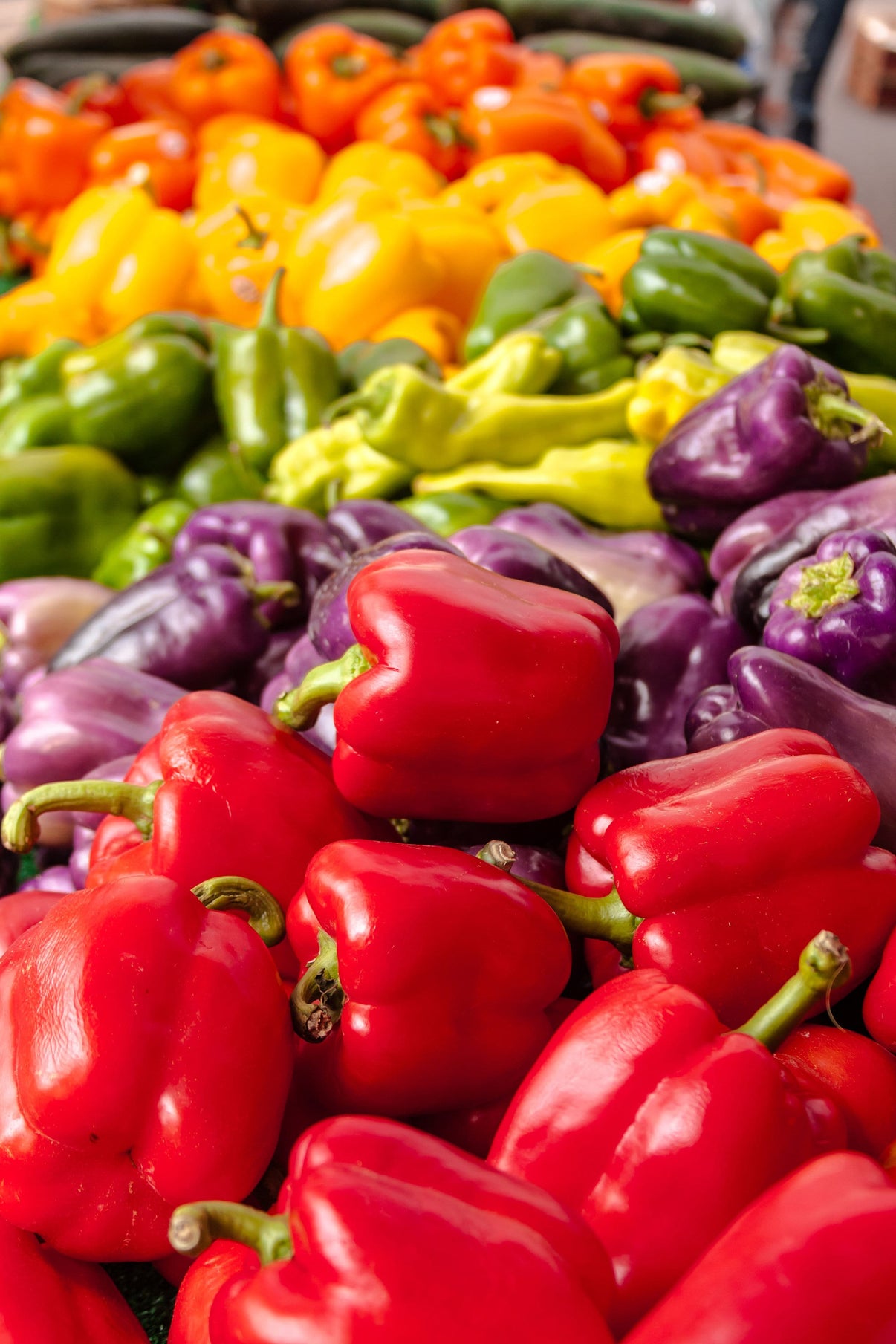 150 RAINBOW BELL PEPPER Sweet Red, Green, Yellow, Orange, Purple, Brow ...