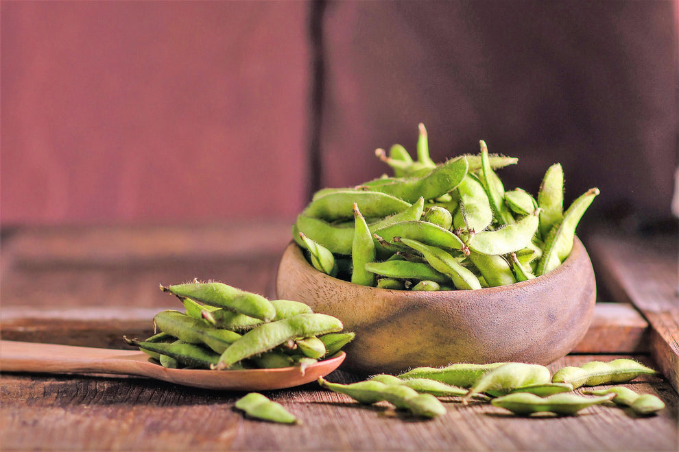20 Organic MIDORI GIANT SOYBEAN Edamame Glycine Max Green Bean Legume ...