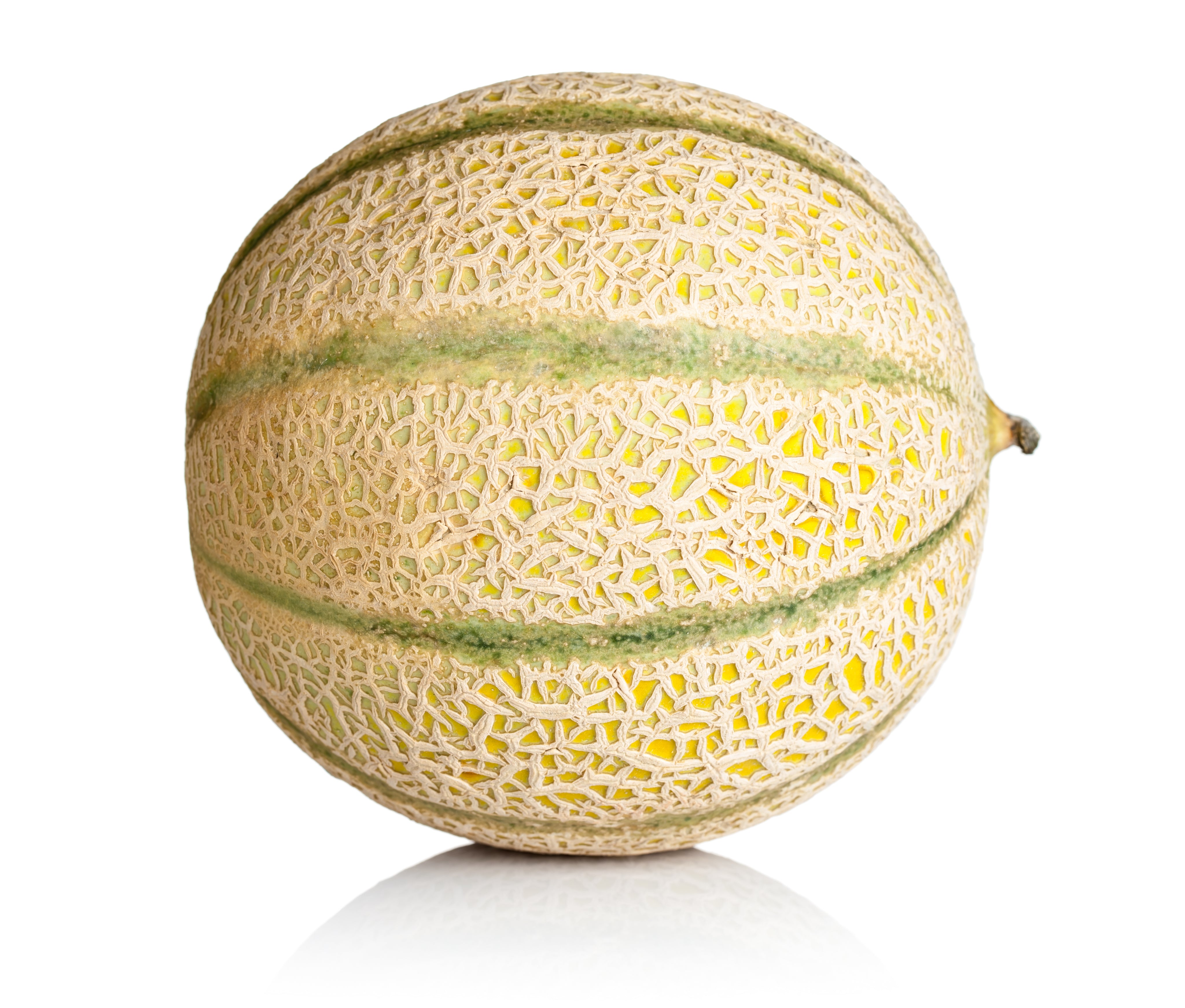 100 Minnesota MIDGET CANTALOUPE MELON Cucumis Melo Reticulatus Fruit S ...