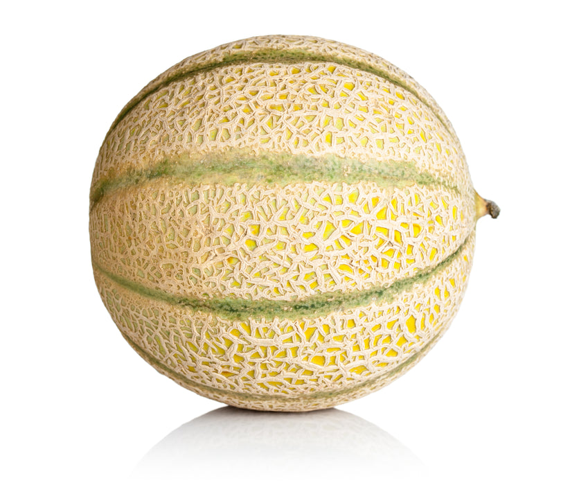 100 Minnesota MIDGET CANTALOUPE MELON Cucumis Melo Reticulatus Fruit S ...