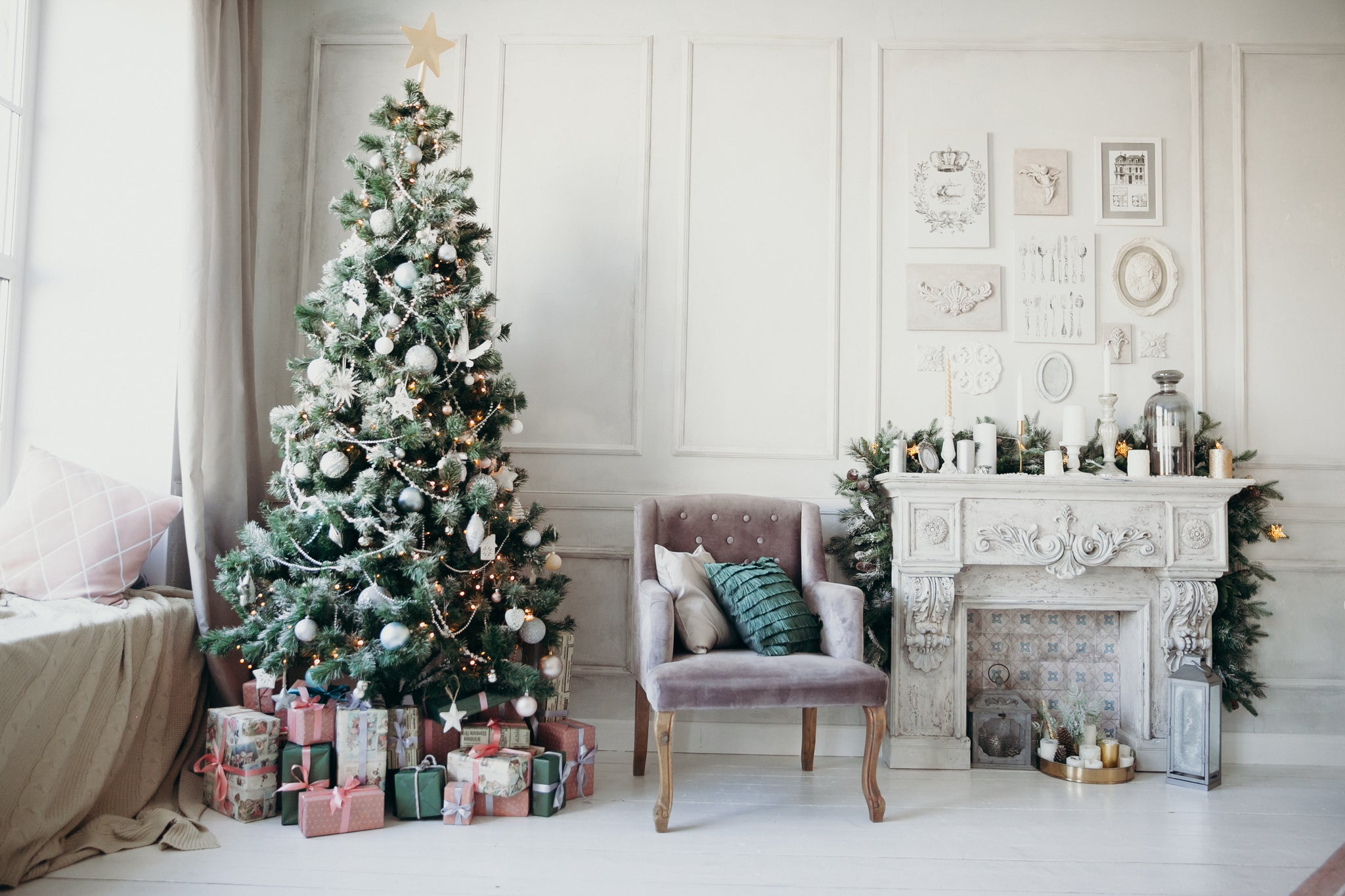 Grow Your Own CHRISTMAS TREE COLLECTION - 4 Gift Packets of Tree Seeds ...